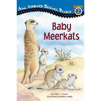 【】Baby Meerkats