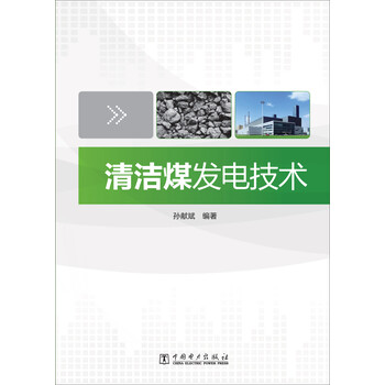 清洁煤发电技术
