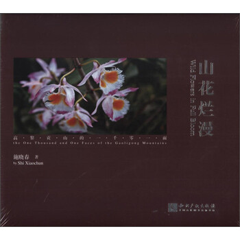 W  山花烂漫9787513025331知识产权