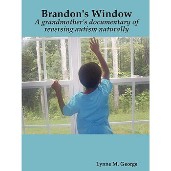 【】Brandon's Window