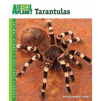 【】Tarantulas