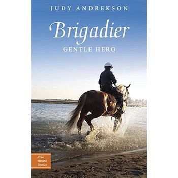 【】Brigadier: Gentle Hero