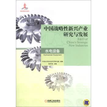 中国战略性新兴产业研究与发展：水电设备
