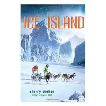 【】Ice Island