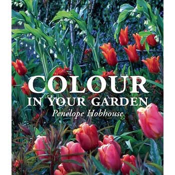 【】Color in Your Garden