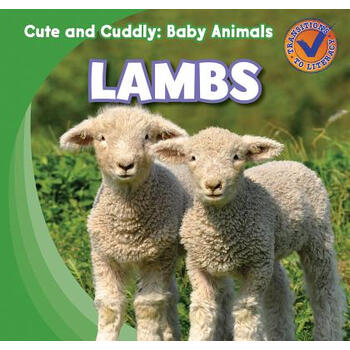 【】Lambs