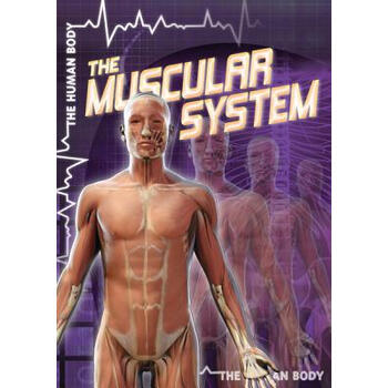 【】The Muscular System