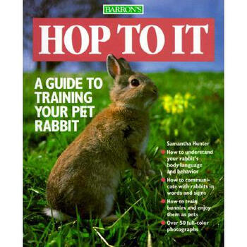 Hop to It: A Guide to Training Your Pet Rabbit