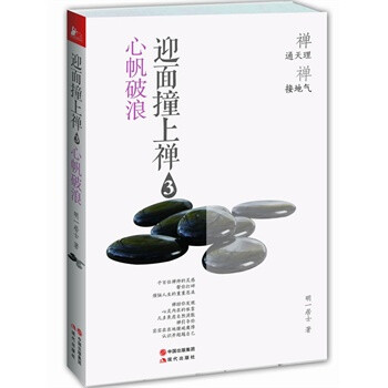 迎面撞上禅3:心帆破浪