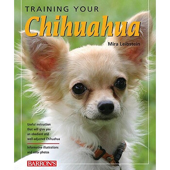 【】Training Your Chihuahua
