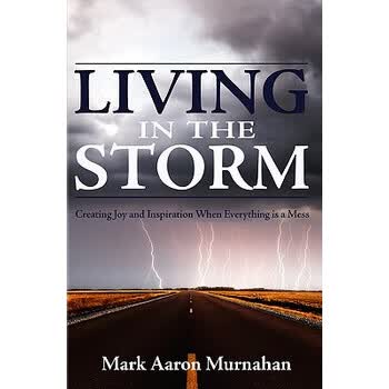【】Living in the Storm