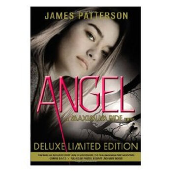 【】Angel