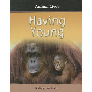 【】Having Young