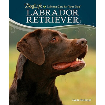 【】Labrador Retriever [With DVD]