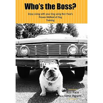 【】Who's the Boss?