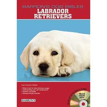 【】Labrador Retrievers