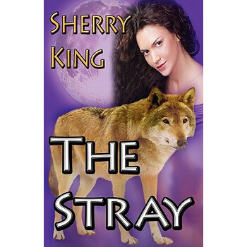 【】The Stray