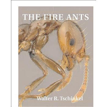 【】The Fire Ants