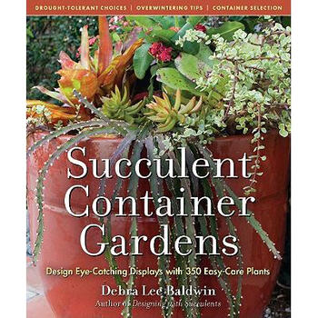 Succulent Container Gardens: Design Eye-Catc...