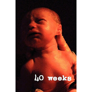 【】40 Weeks