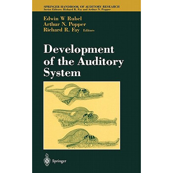 【】Development of the Auditor