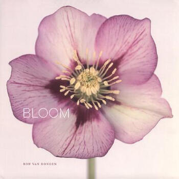 【】Bloom