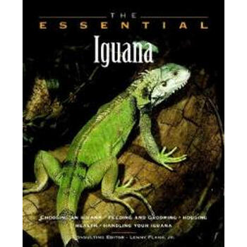 【】The Essential Iguana