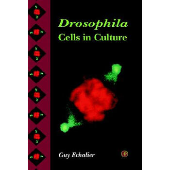 【】Drosophila Cells in Culture