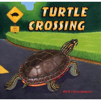【】Turtle Crossing
