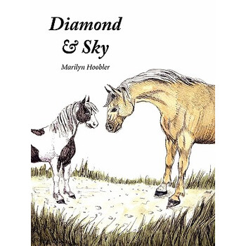 【】Diamond & Sky