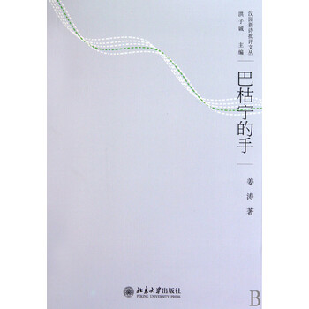 巴枯宁的手/汉园新诗批评文丛