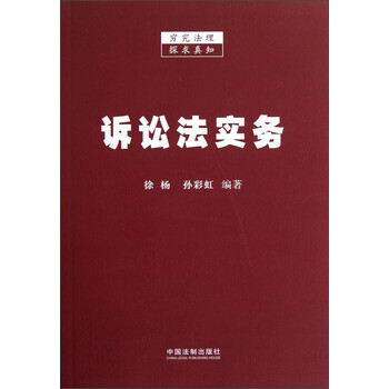   诉讼法实务9787509341698中国法制
