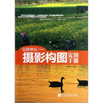 玩转单反：摄影构图实用手册9787538175677