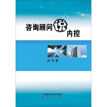咨询顾问说内控 田伟 中国财政经济出版社
