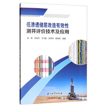 低渗透储层改造有效性测井评价技术及应用