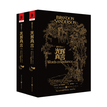 飓光志（卷二）：光辉真言 布兰登·桑德森著迷雾之子系列作者伊兰翠奇幻小说外国文学 