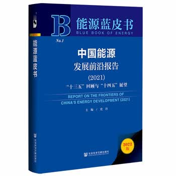 能源蓝皮书：中国能源发展前沿报告（2021）“十三五”回顾与“十四五”展望