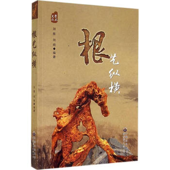 根艺纵横 刘胜 等 民间工艺 