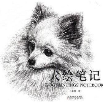犬绘笔记 王墨晗绘 天津人民美术出版社