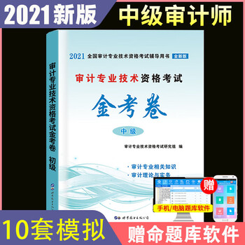 2022审计-中级 金考卷