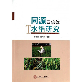 同源四倍体水稻研究