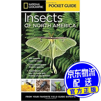 国家地理昆虫指南 原版图书