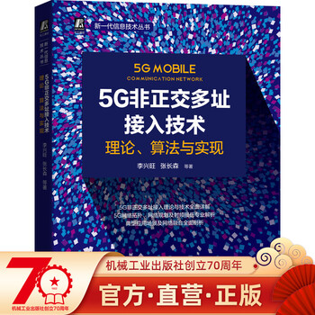 5G非正交多址接入技术：理论、算法与实现
