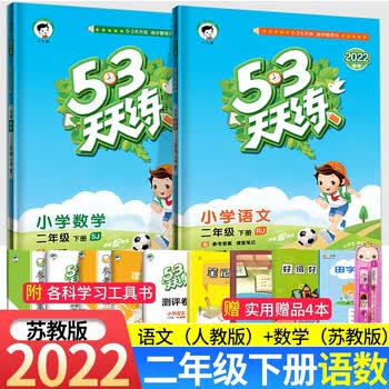53天天练二年级下册上册语文数学练习册语文人教版数学北师大数学苏教版5.3天天练试卷练习语文数学下 二年级下册人教语文数学苏教版