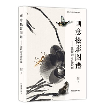 画意摄影图谱——让摄影走进绘画 李振宇,赵晓航 著 摄影理论 李振宇 赵晓航