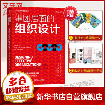 集团层面的组织设计 大师力作！为解决复杂的组织设计问题提供了严谨的路径 图书