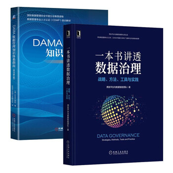 读懂数据治理两本：一本书讲透数据治理+DAMA数据管理知识体系指南（原书第2版）机械工业出版社图书