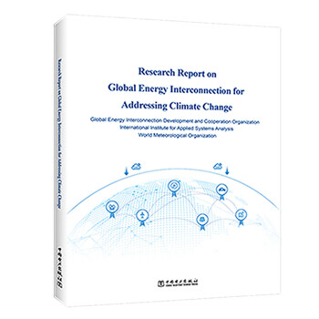 Research report on global energy interconnect