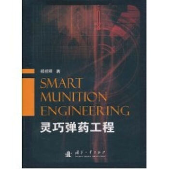 灵巧弹药工程杨绍卿