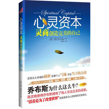 心灵资本:灵商创造完美的自己